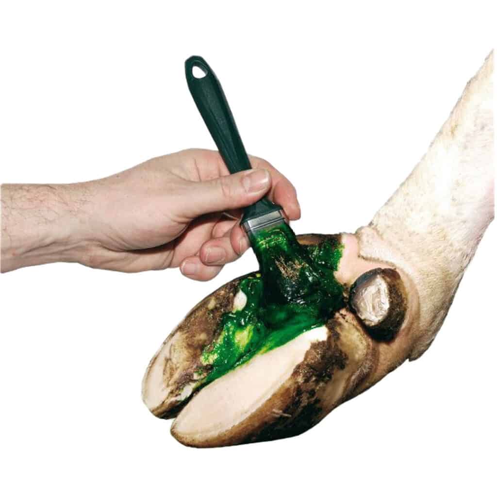 Intra Repiderma - Intrahooffit.de